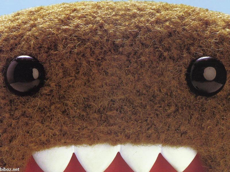 todo sobre domo kun